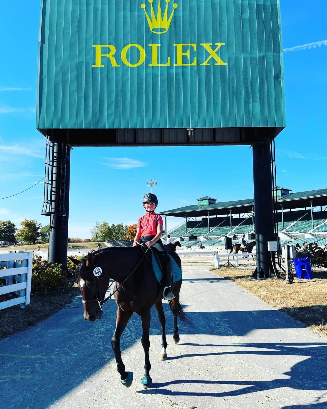 A Parent's Guide to OTTB Ownership - Retired Racehorse Project