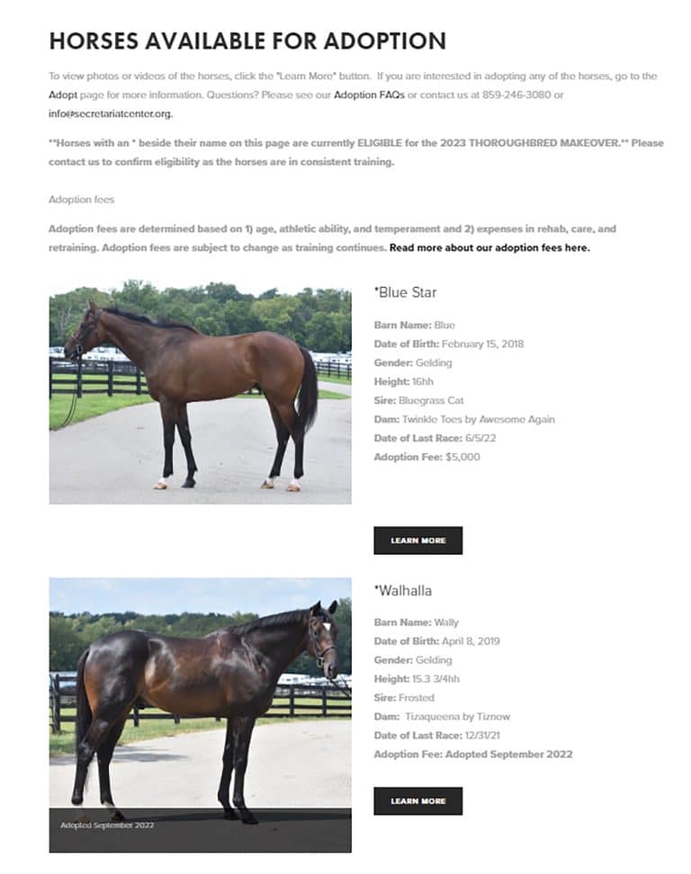 How To OTTB-Shop - Retired Racehorse Project