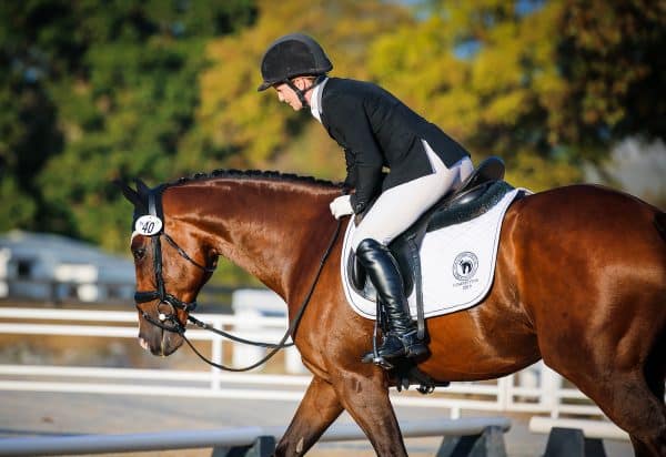 What's Your Makeover Horse Worth? - Retired Racehorse Project