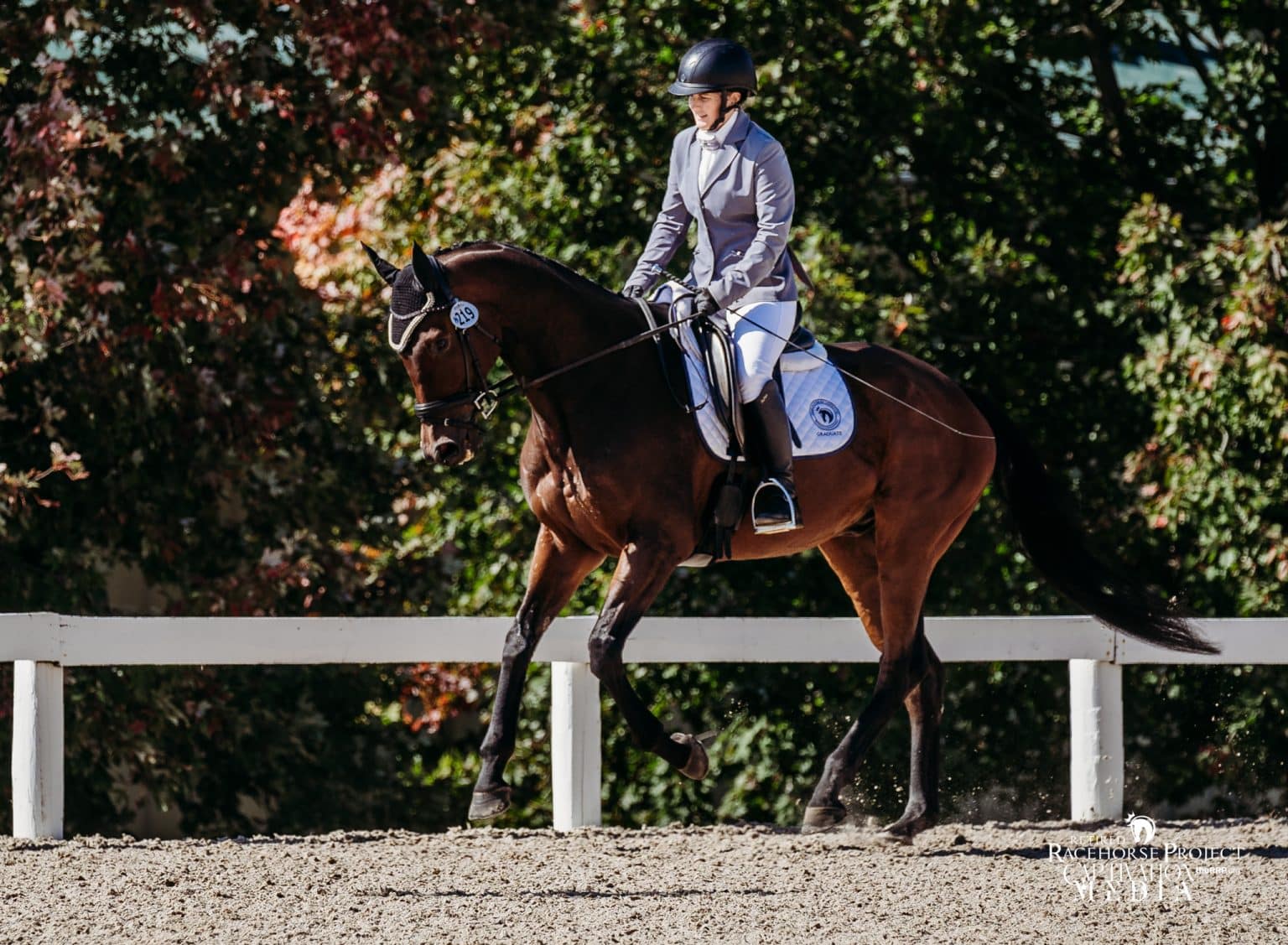 What Is an OTTB? - Retired Racehorse Project